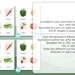 Montessori Nomenclature Cards ILLUSTRATED VEGETABLES, Montessori ...