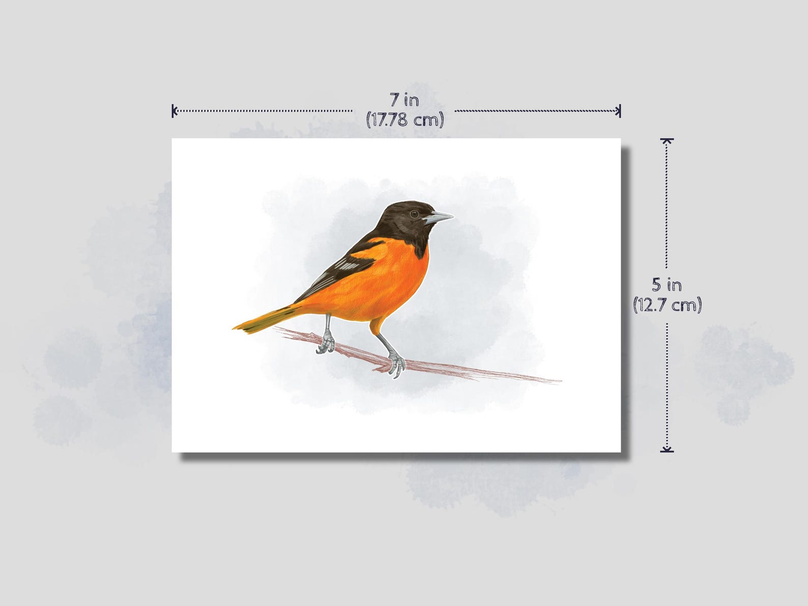 BALTIMORE ORIOLE 5x7 Art Print of Oriole Bird Art Home Decor Wall Art ...