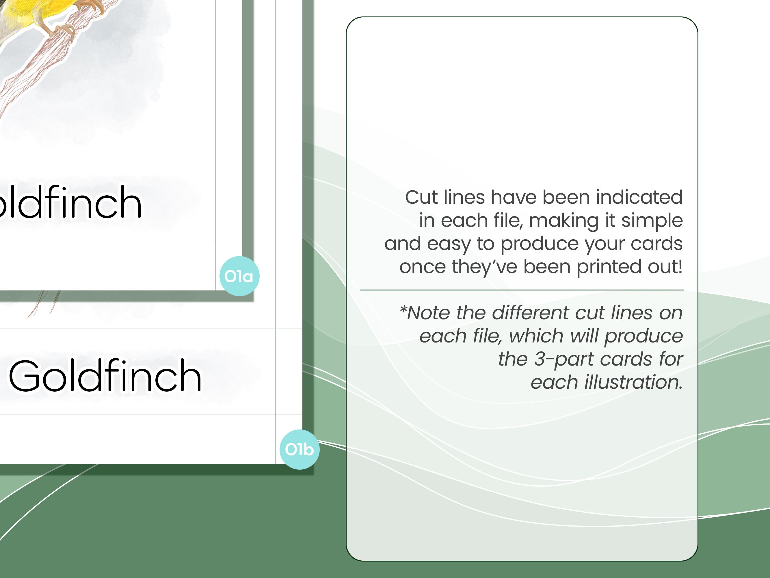 Montessori Nomenclature Cards ILLUSTRATED BIRDS, Montessori Materials ...
