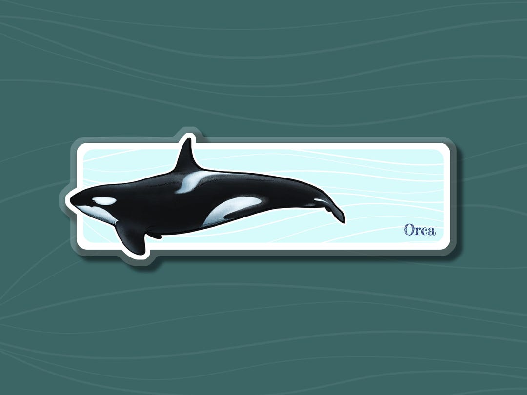 ORCA WHALE BOOKMARK for Kids Whale Gift for Bookworm Gift of Killer ...