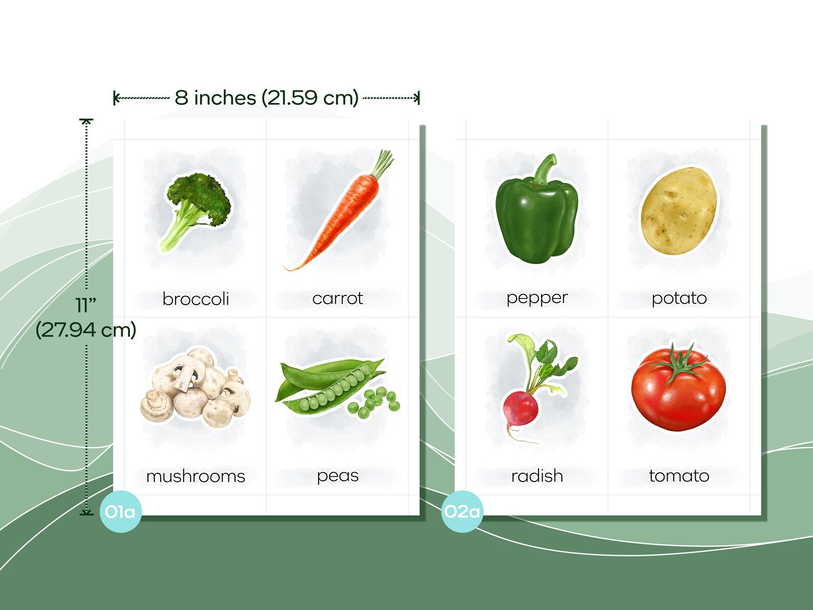 Montessori Nomenclature Cards ILLUSTRATED VEGETABLES, Montessori ...
