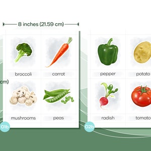Montessori Nomenclature Cards ILLUSTRATED VEGETABLES, Montessori ...