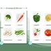 Montessori Nomenclature Cards ILLUSTRATED VEGETABLES, Montessori ...