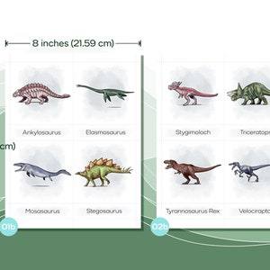 Montessori Nomenclature Cards ILLUSTRATED DINOSAURS, Montessori ...
