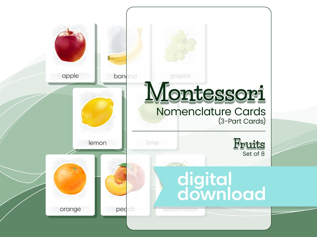 Montessori Nomenclature Cards ILLUSTRATED FRUITS, Montessori Materials ...