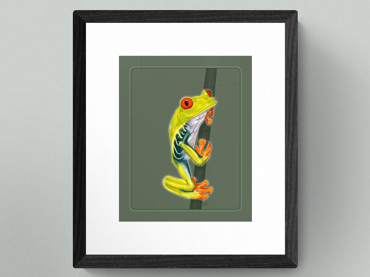 RED EYED Tree FROG, Frog Art Print, Tree Frog Artwork, Frog Painting ...