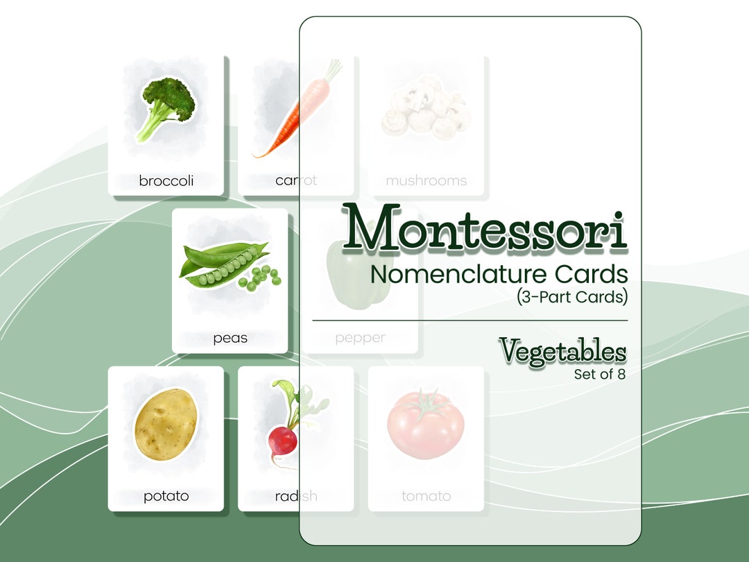 Montessori Nomenclature Cards ILLUSTRATED Vegetables, Montessori ...