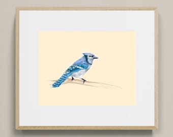 Blue Jay Art | Etsy