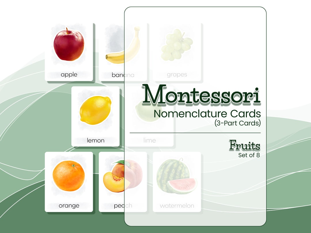 Montessori Nomenclature Cards ILLUSTRATED FRUITS, Montessori Material ...