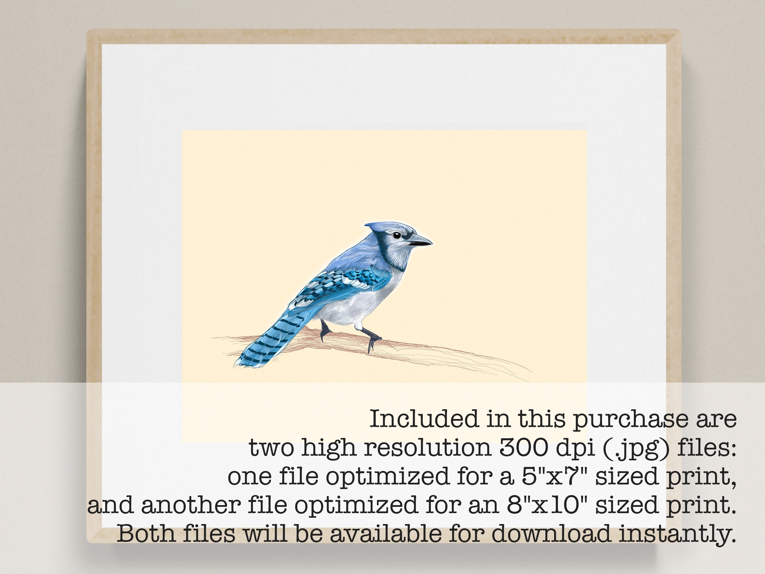 BLUE JAY Bird Print, Printable Art Print, Digital Art Print, Digital ...