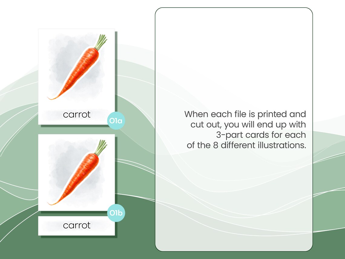 Montessori Nomenclature Cards ILLUSTRATED VEGETABLES, Montessori ...