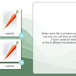 Montessori Nomenclature Cards ILLUSTRATED VEGETABLES, Montessori ...