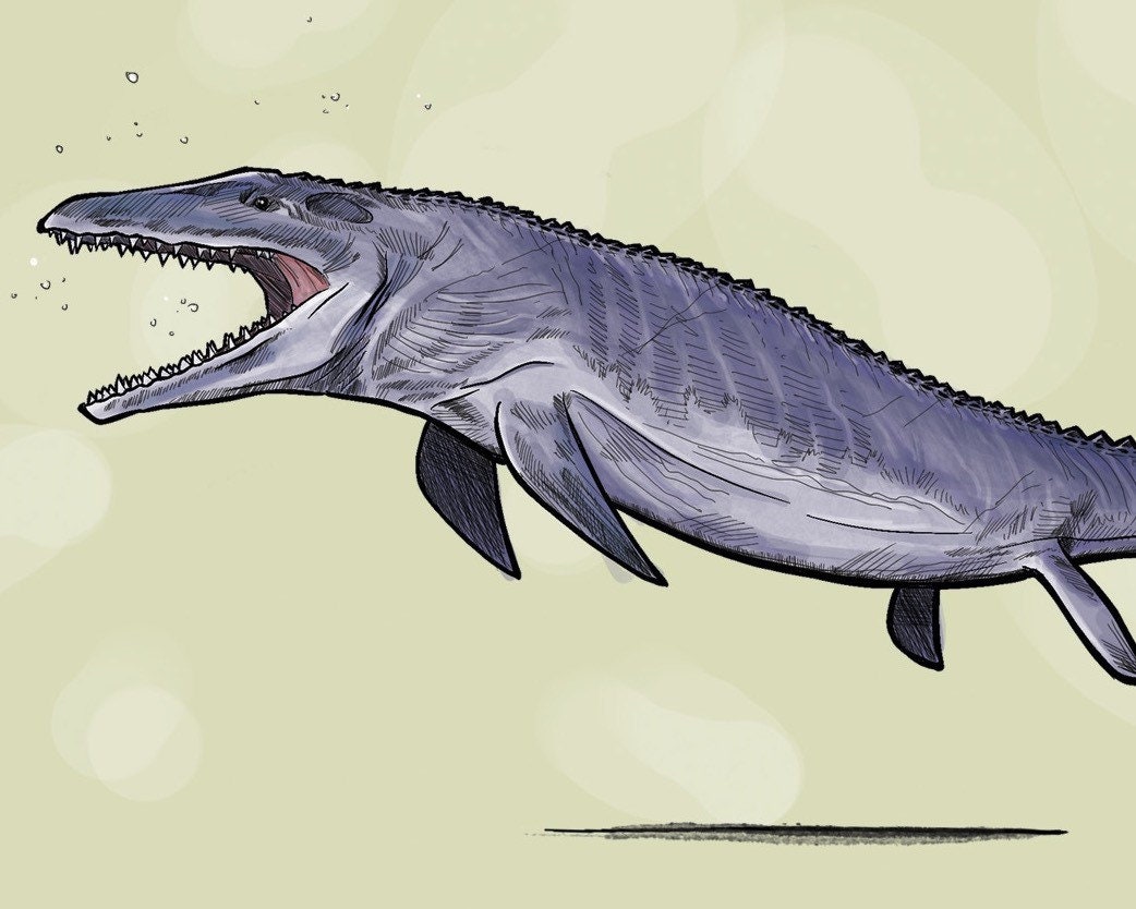 MOSASAURUS Dinosaur ART PRINT, Classroom Art, Classroom Decor, Kids ...