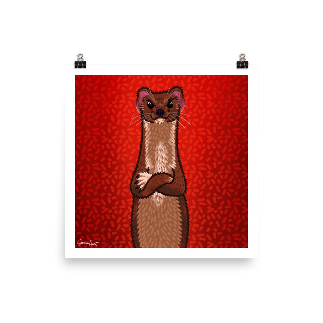 Angry Weasel - Illustration Print - Etsy