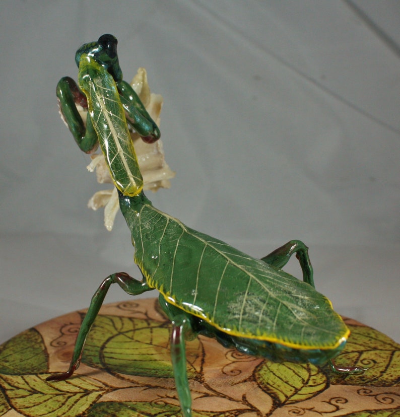 Hand Sculpted Praying Mantis Livingremains - Etsy