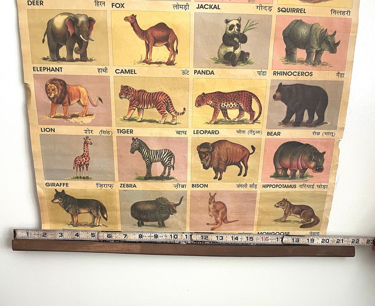 Vintage India Animal School Chart Poster With English and - Etsy