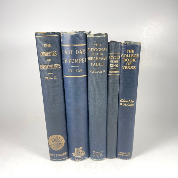 Blue Book Stack - Etsy