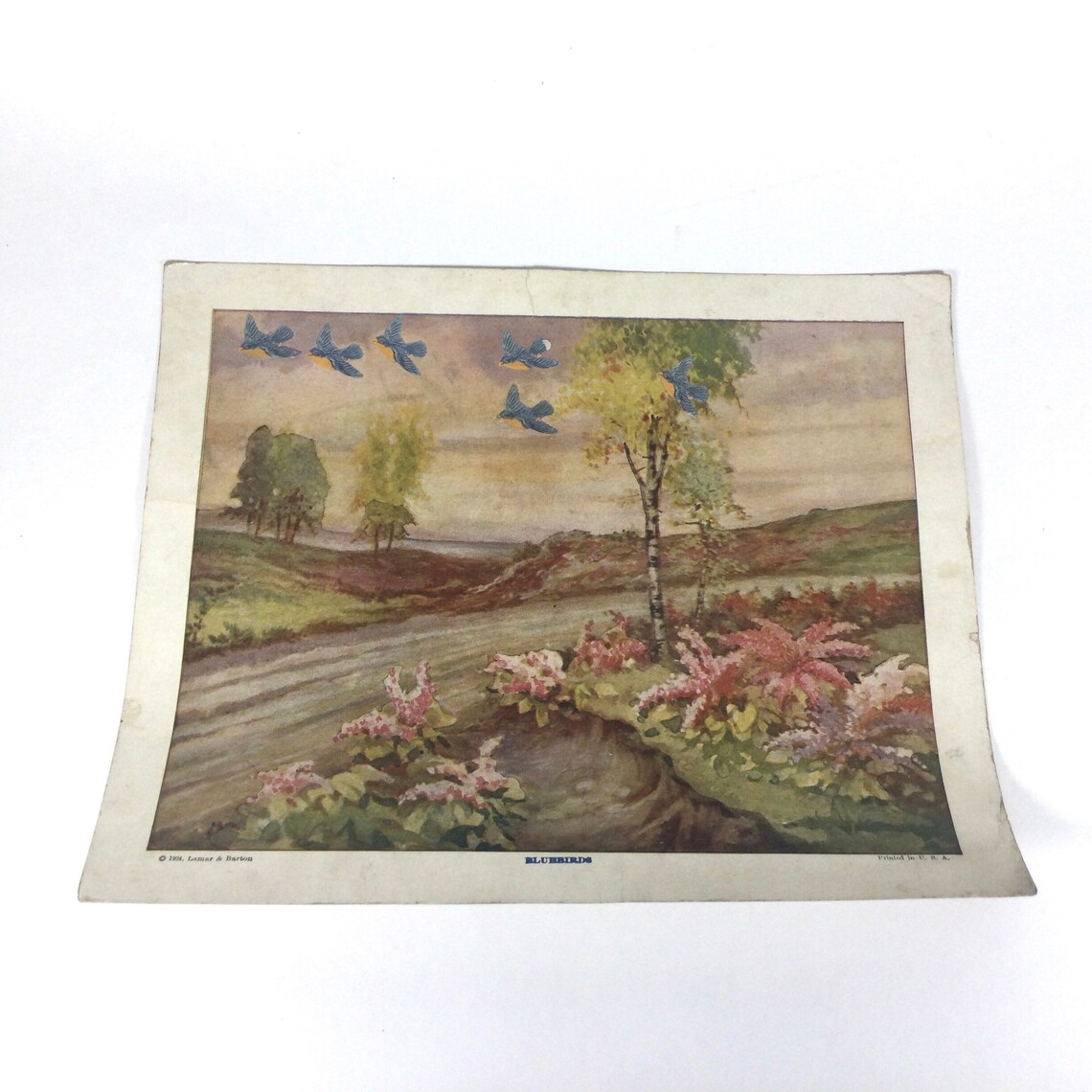 1920s Children’s Art Print Lithographs by Lamar and Barton - Ducks and ...