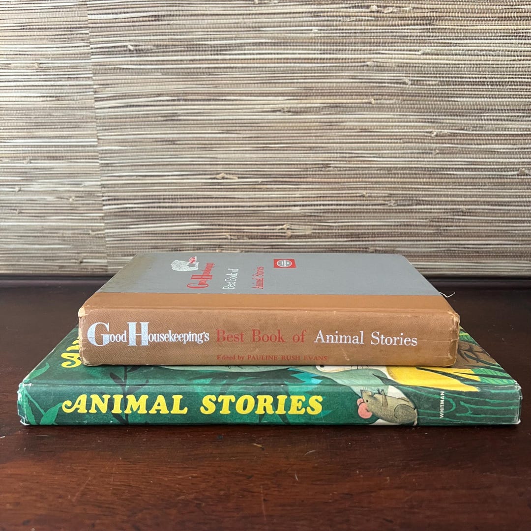 Vintage Animal Story Books | Midcentury Illustrated Children’s Picture ...