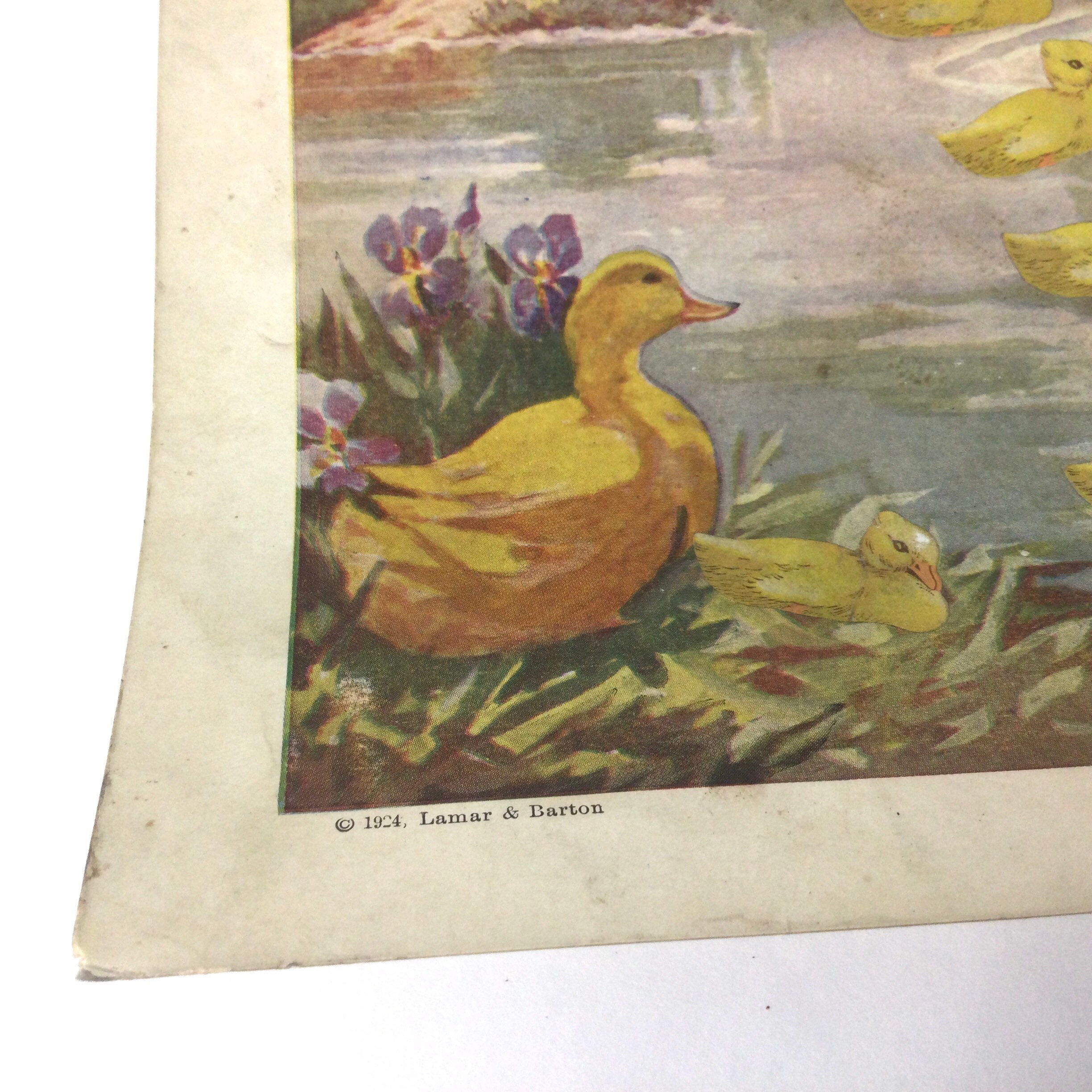 1920s Children’s Art Print Lithographs by Lamar and Barton - Ducks and ...