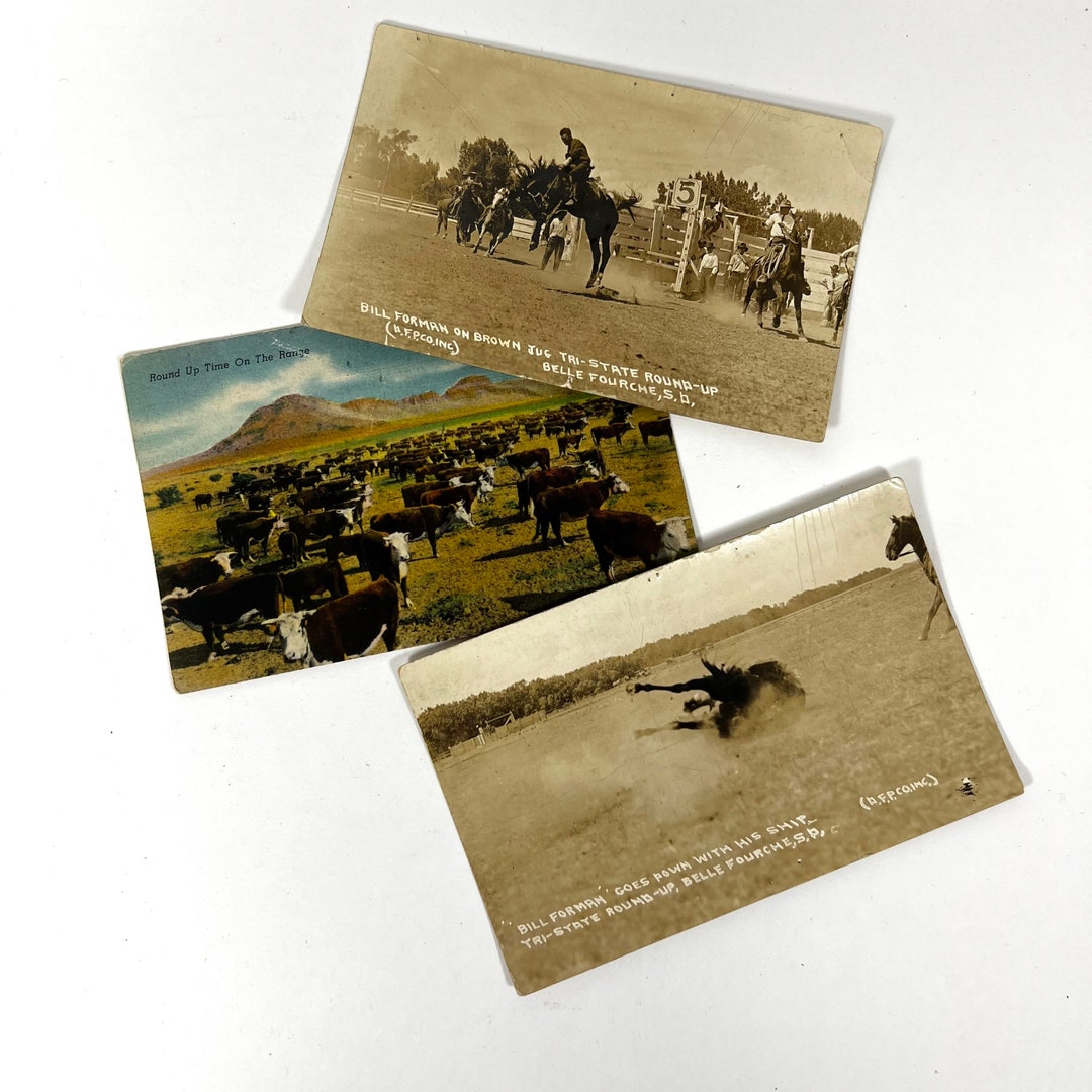 Vintage Set of 3 Western Theme Postcards Cowboy Rodeo - Etsy