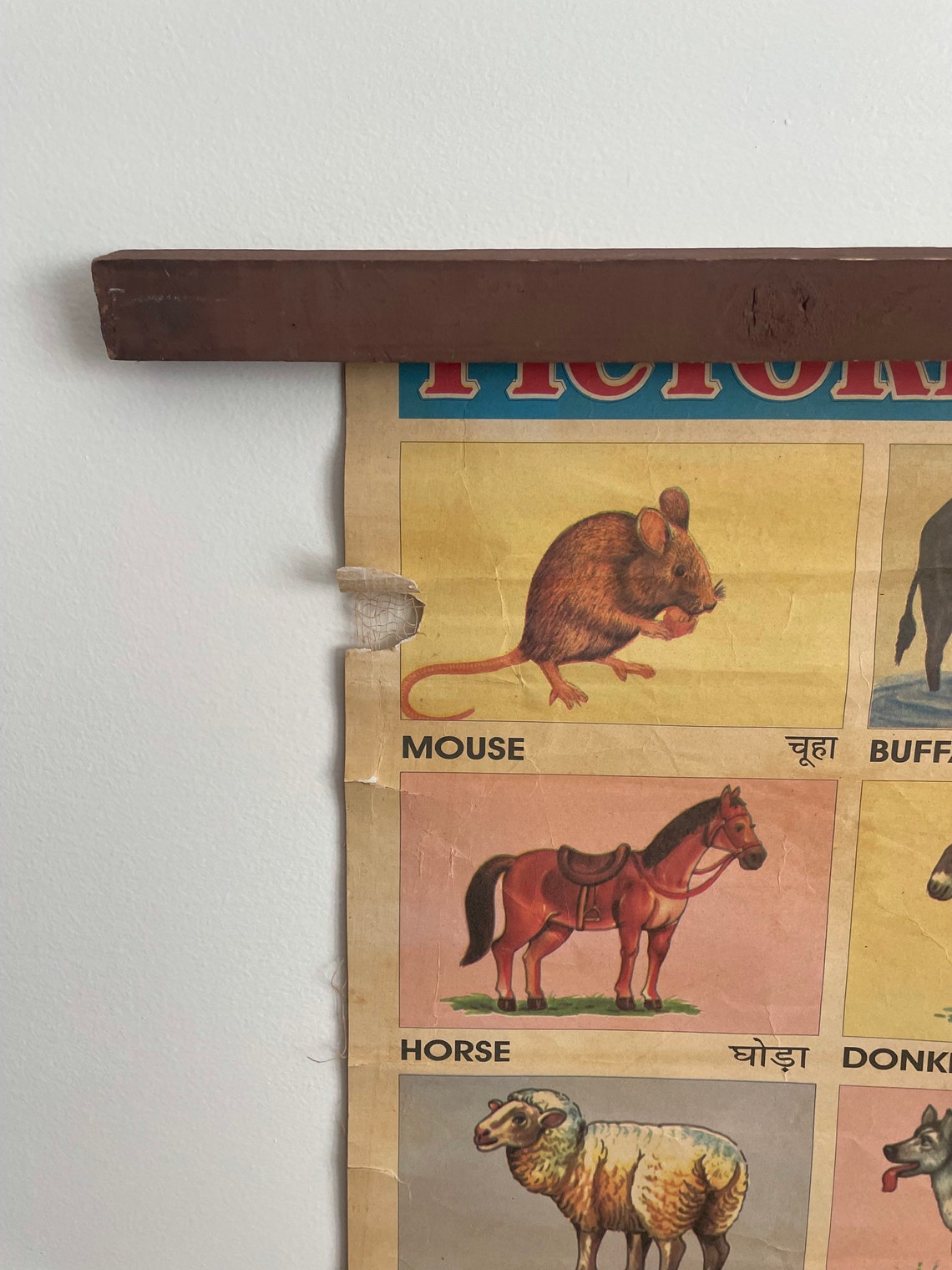 Vintage India Animal School Chart Poster With English and - Etsy