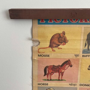 Vintage India Animal School Chart Poster With English and - Etsy