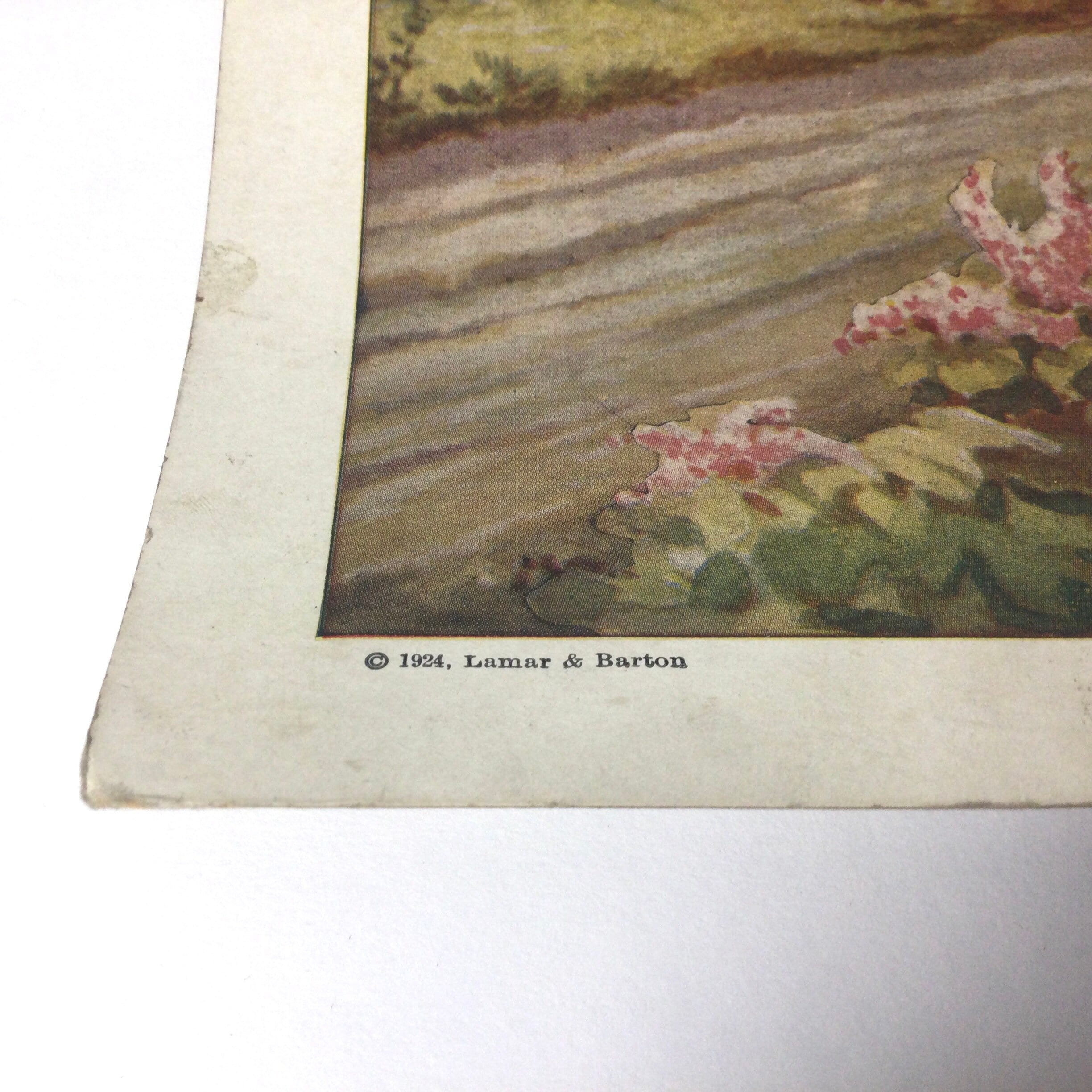 1920s Children’s Art Print Lithographs by Lamar and Barton - Ducks and ...