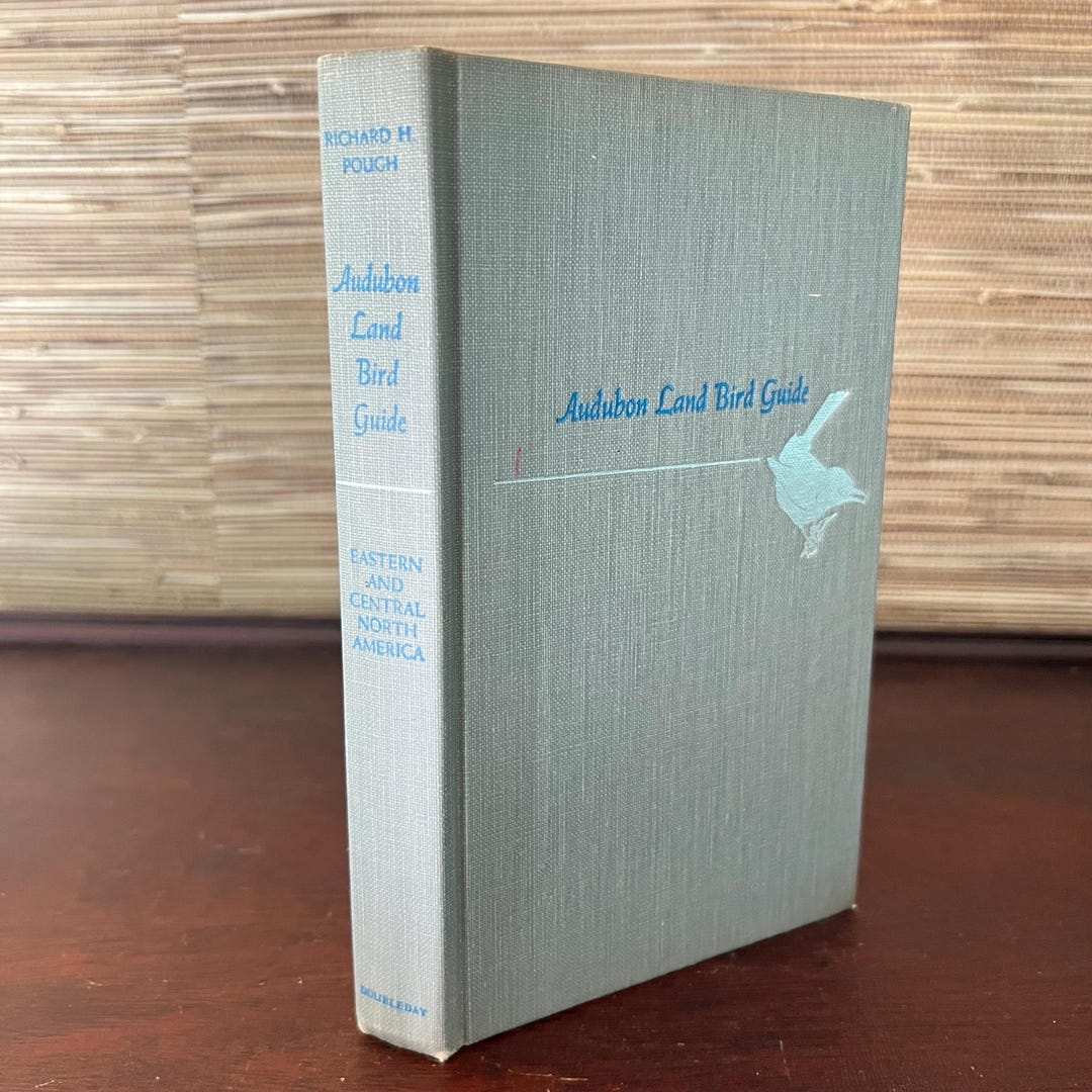 Audubon Land Bird Guide | Vintage 1949 Nature Bird Identification Guide ...