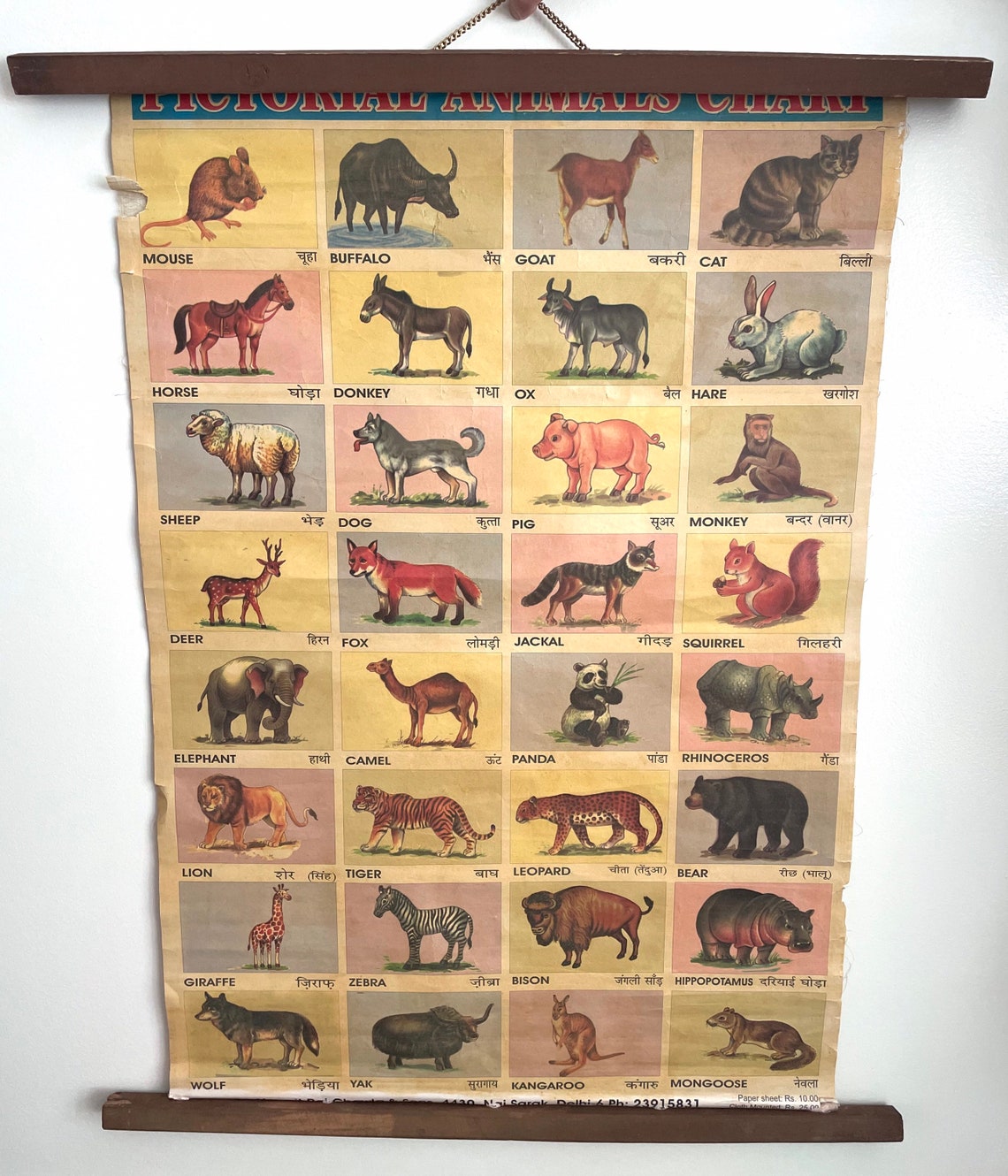 Vintage India Animal School Chart Poster With English and - Etsy