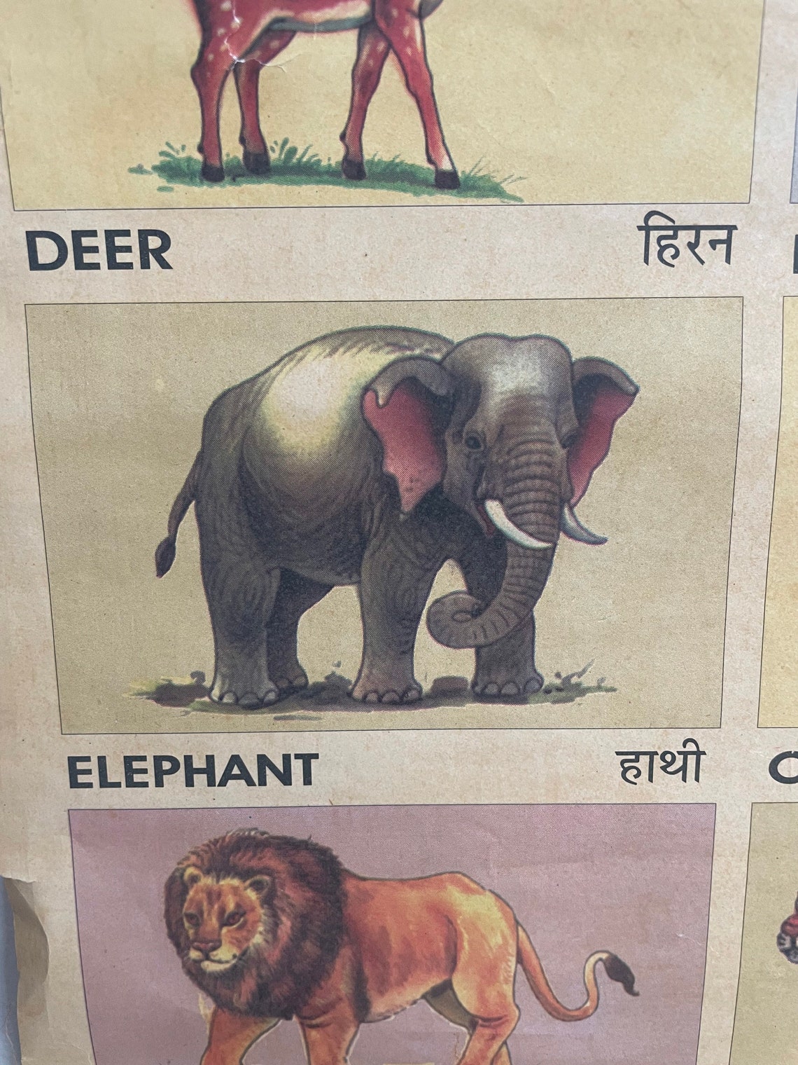 Vintage India Animal School Chart Poster With English and - Etsy