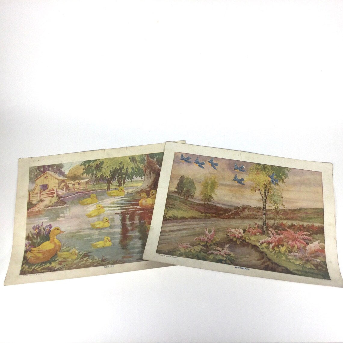 1920s Children’s Art Print Lithographs by Lamar and Barton - Ducks and ...