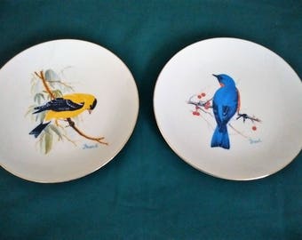Bird plates | Etsy
