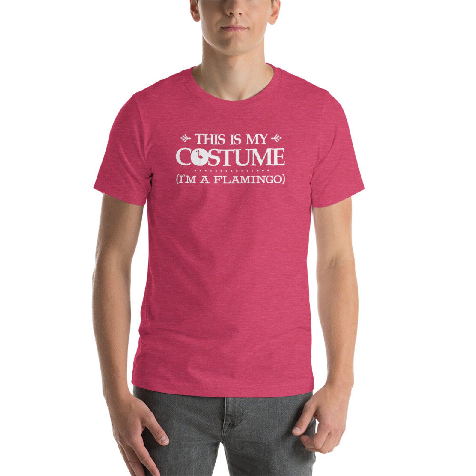 I'm a Flamingo - Halloween Costume - Pink Flamingo - Flamingo Shirt ...