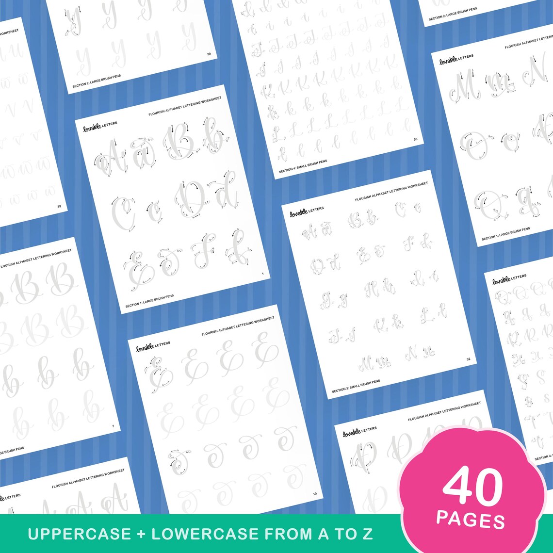 Flourish Alphabet Lettering Worksheet | Elegant Script Letters With ...