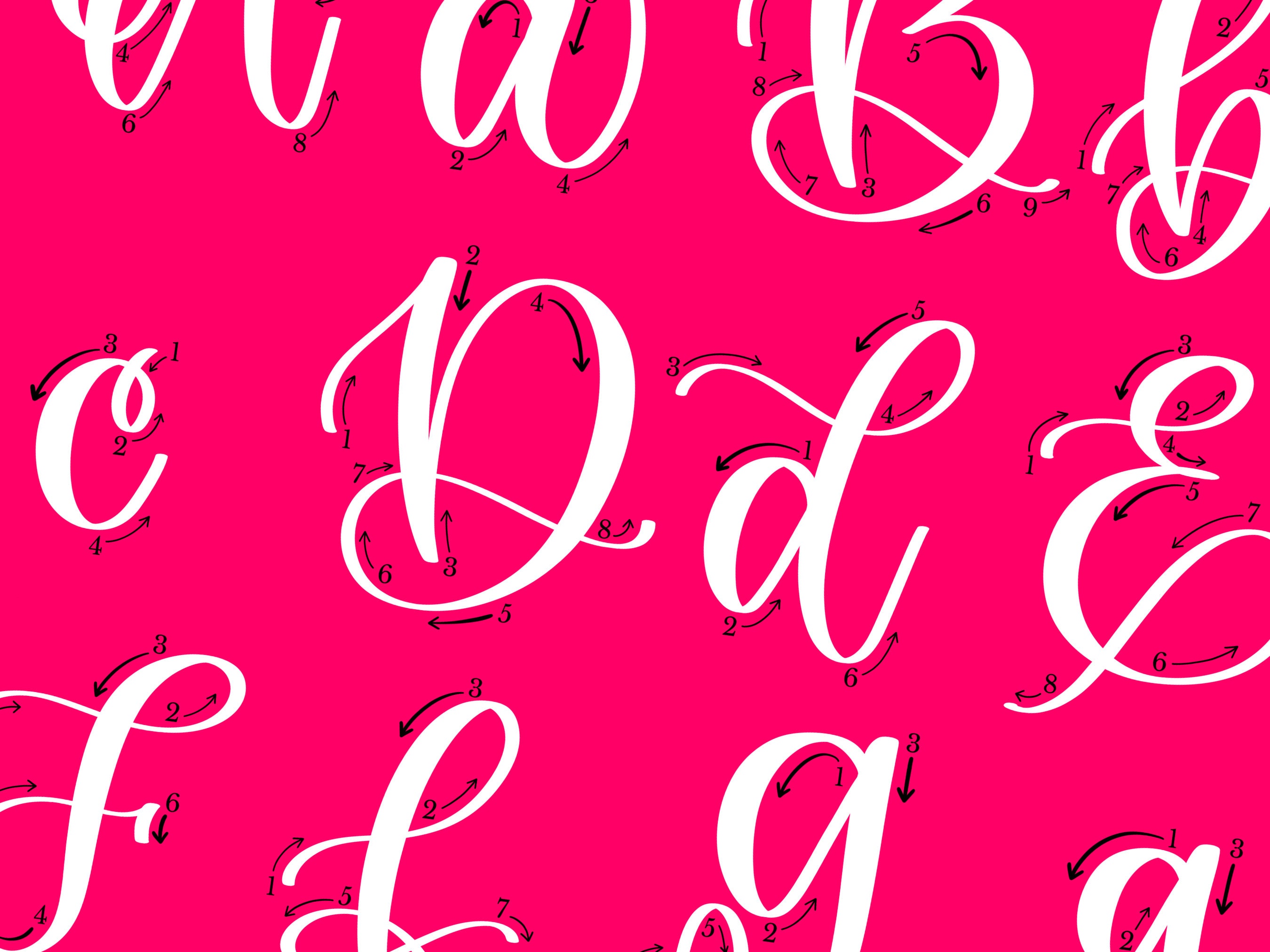 Flourished Vol. 1 Alphabet Lettering Worksheet | Learn to Letter ...