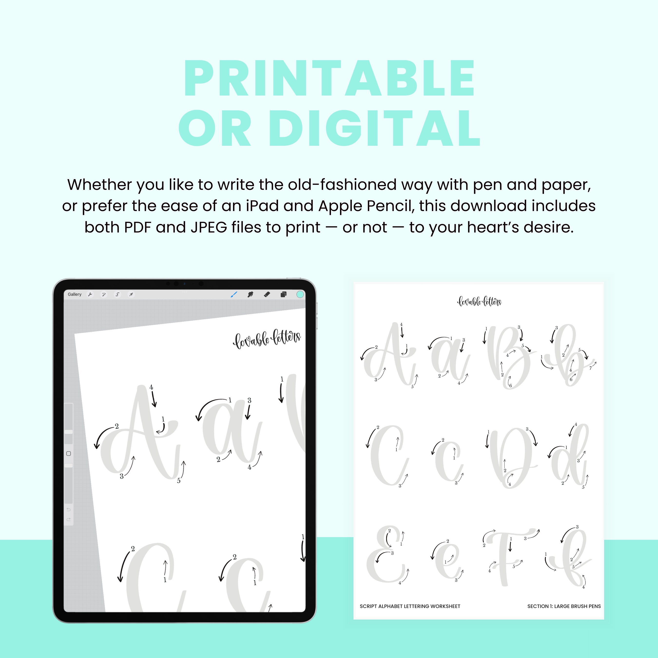 Script Alphabet Lettering Worksheet