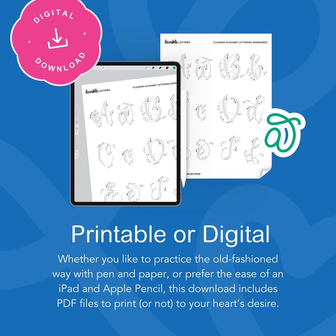 Flourish Alphabet Lettering Worksheet | Elegant Script Letters With ...