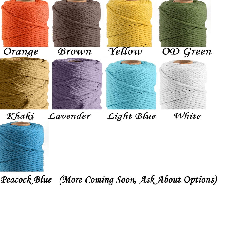 Seasonal Themed Macramé Hanger 4-feet Long Single Plant | Etsy