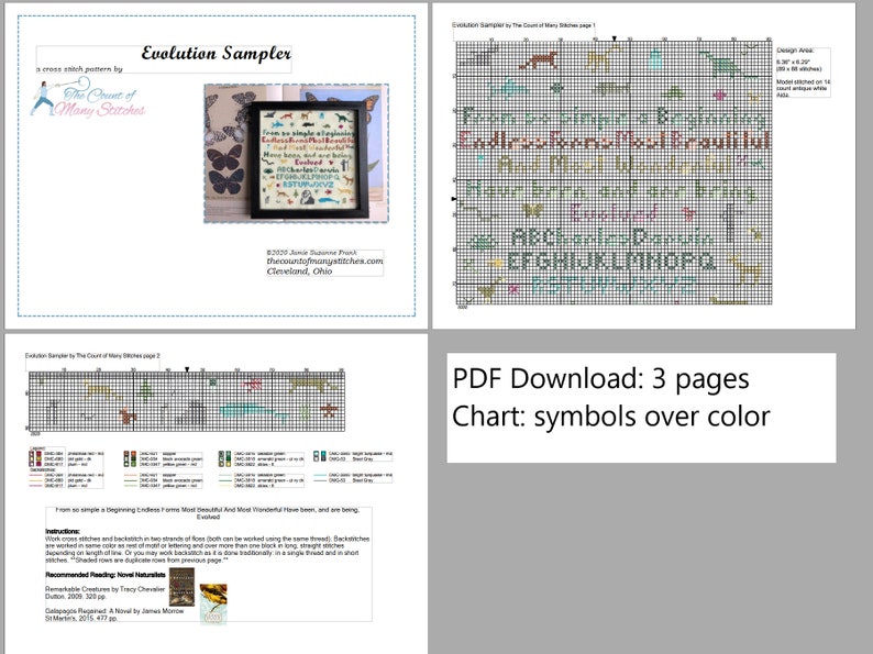 Evolution Sampler/ Cross Stitch Pattern/ Charles Darwin/ - Etsy