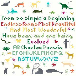 Evolution Sampler/ Cross Stitch Pattern/ Charles Darwin/ - Etsy