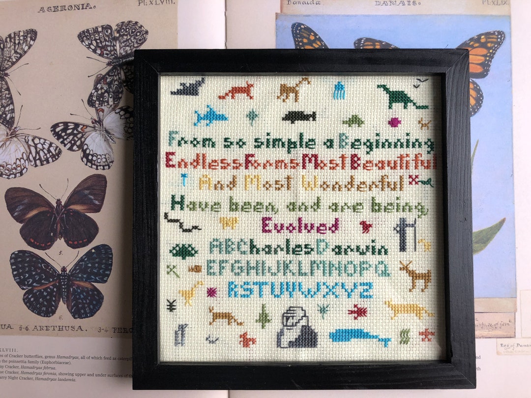 Evolution Sampler/ Cross Stitch Pattern/ Charles Darwin/ - Etsy