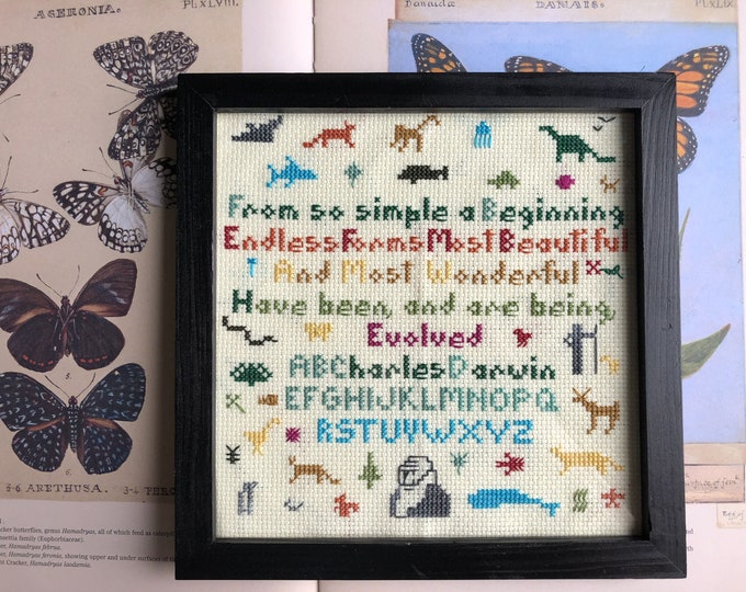 Evolution Sampler/ Cross Stitch Pattern/ Charles Darwin/ - Etsy