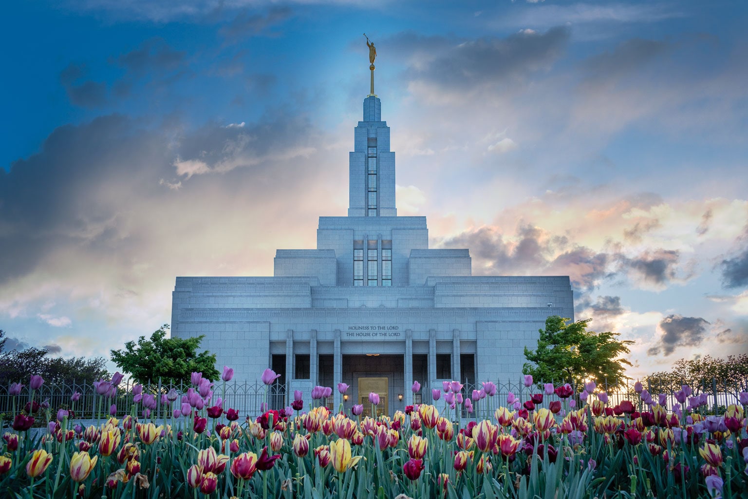 Utah Draper Temple Spring Tulips - Etsy