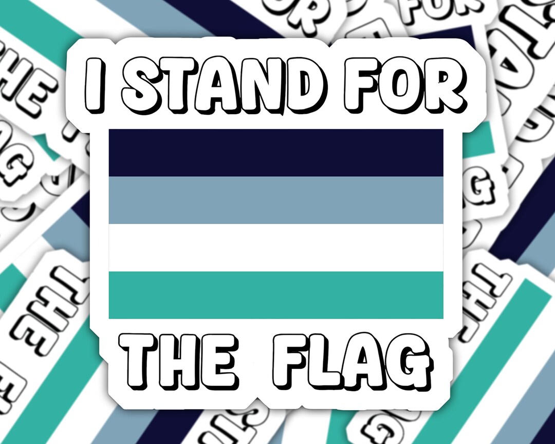 I Stand for the Flag Oriented Aroace Pride Sticker, Oriented Aroace ...