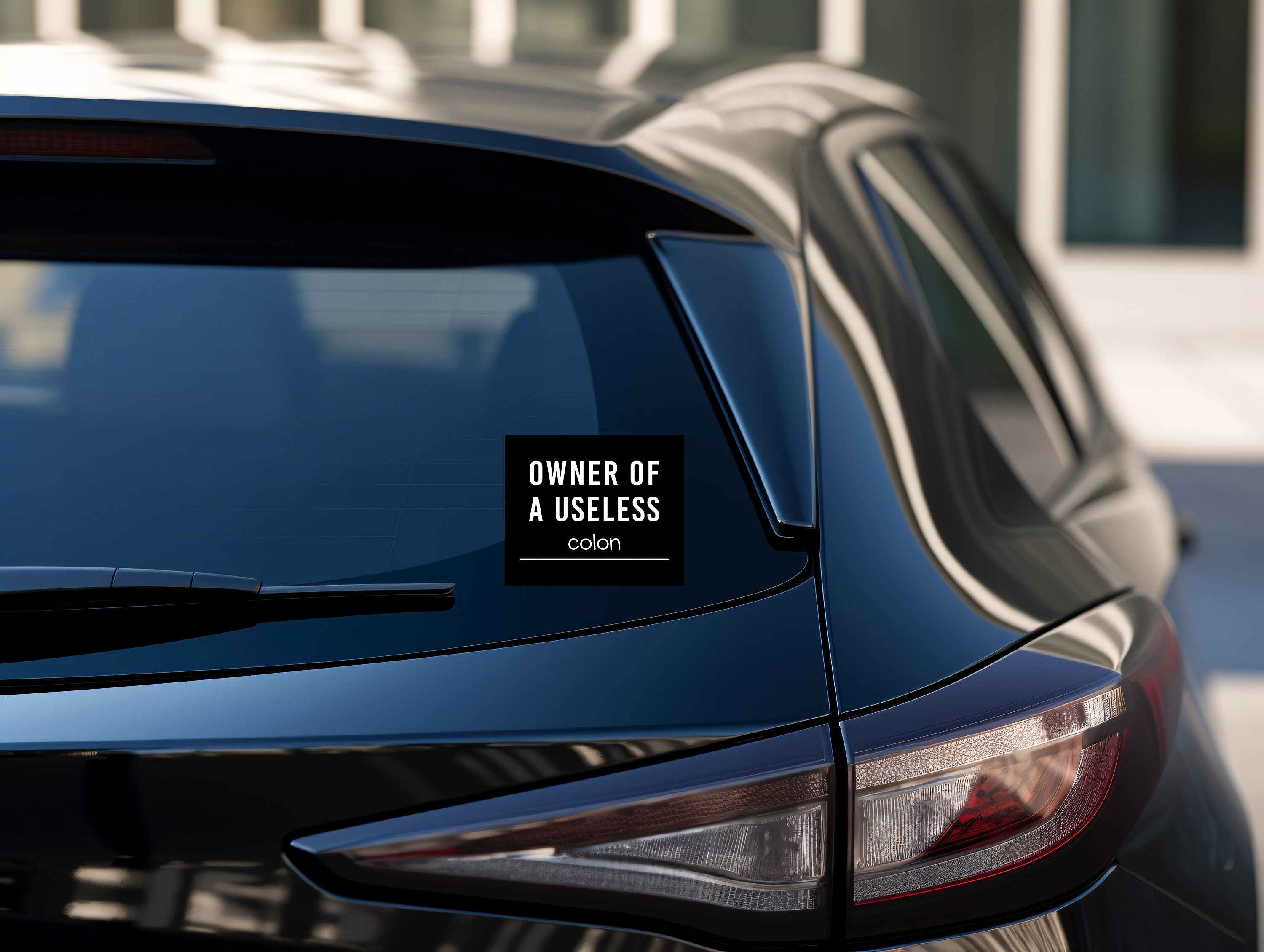 Owner of A Useless Colon Sticker, Crohn's Disease Awareness Sticker ...