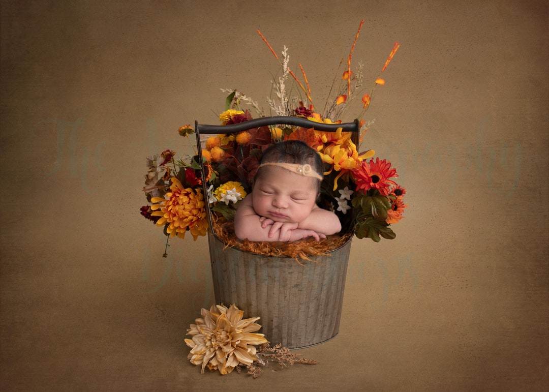 Newborn Baby Digital Backdrop Background Bucket Fall Flowers - Etsy