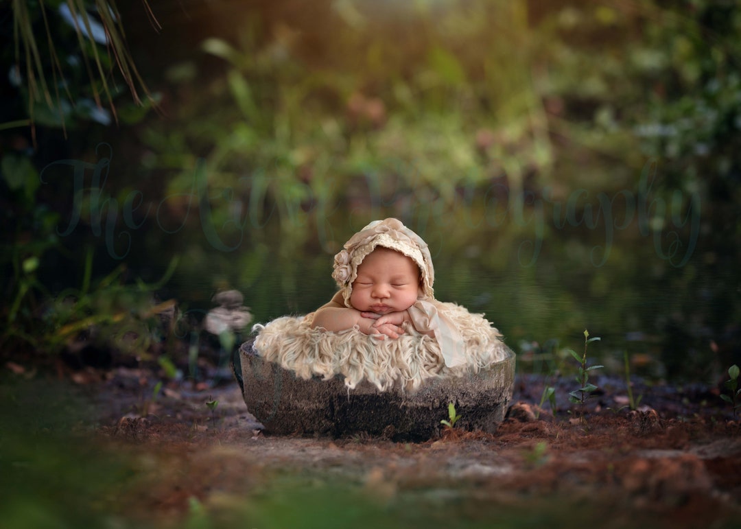 Outdoor Newborn Baby Digital Backdrop Background Bucket and - Etsy