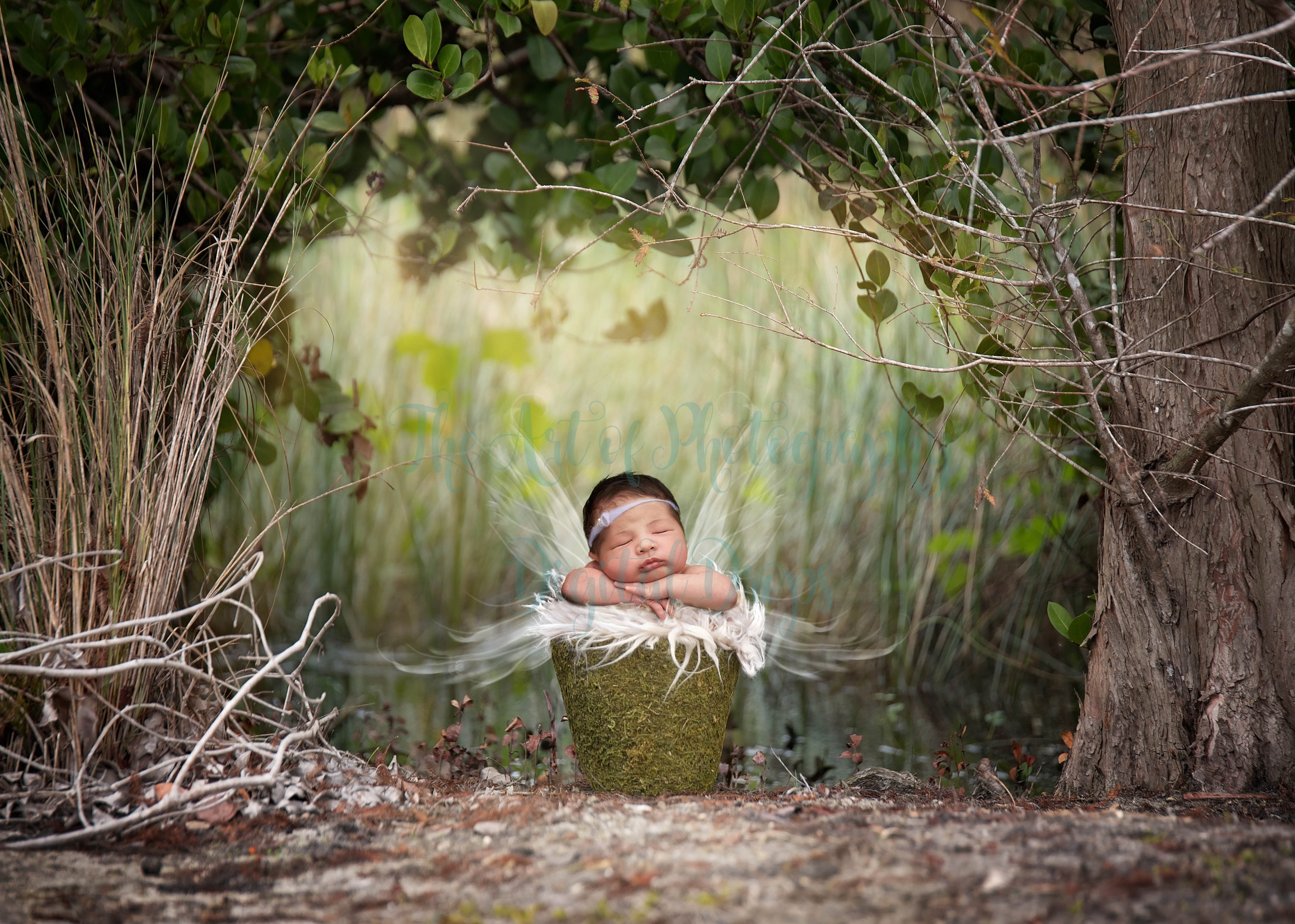 Outdoor Newborn Baby Digital Backdrop Background Bucket and | Etsy
