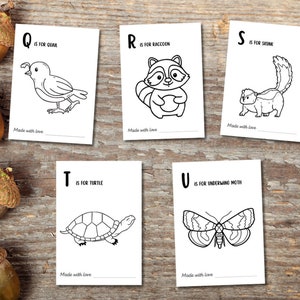 Woodland Animals ABC Colouring Book, Baby Shower Alphabet ABC Printable ...